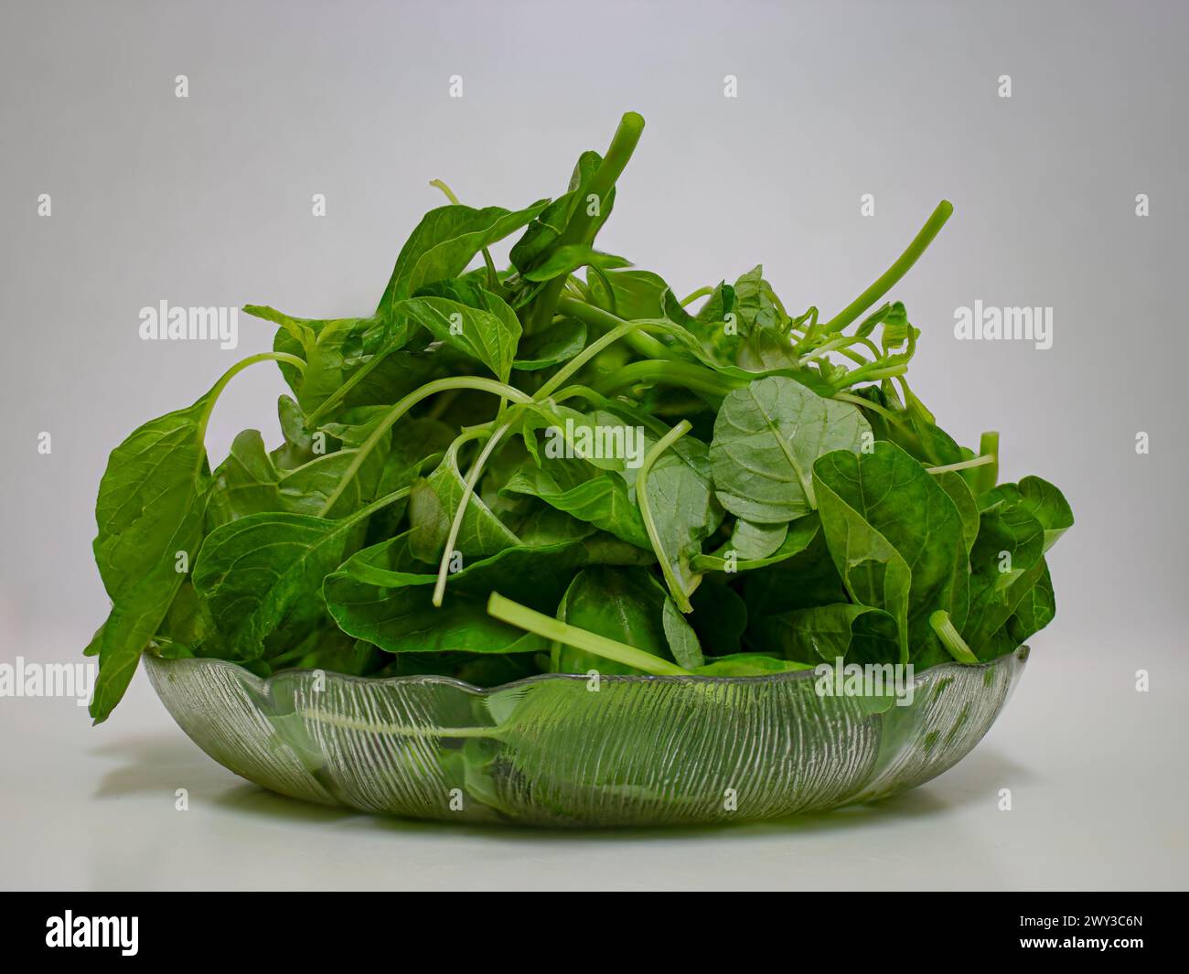 Tropical basil hi-res stock photography and images - Alamy
