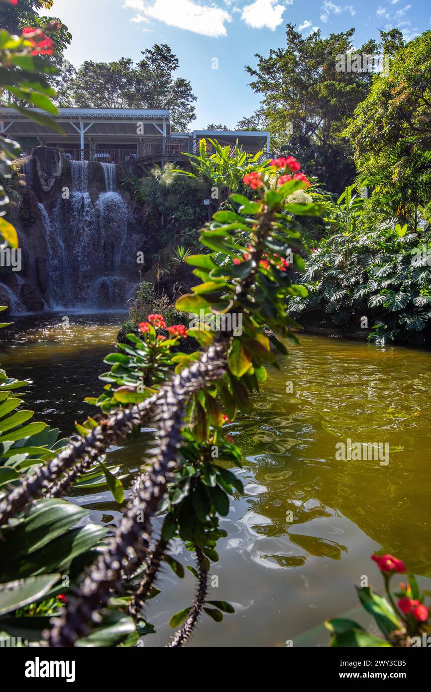 Jardin Botaniqu de Deshaies, botanical garden with flora and fauna in ...