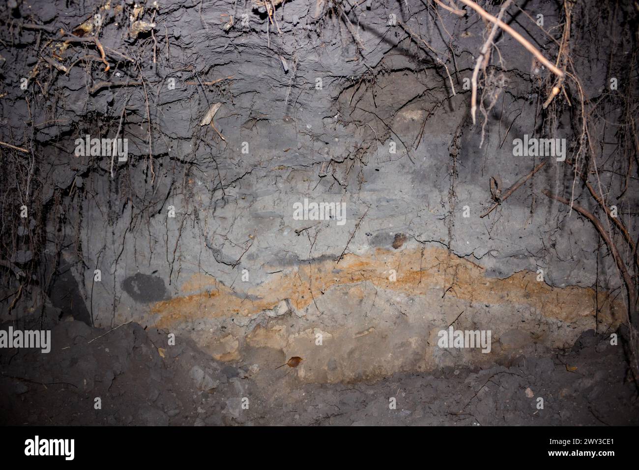 Pit in the ground at the bottom, inside view Stock Photo - Alamy