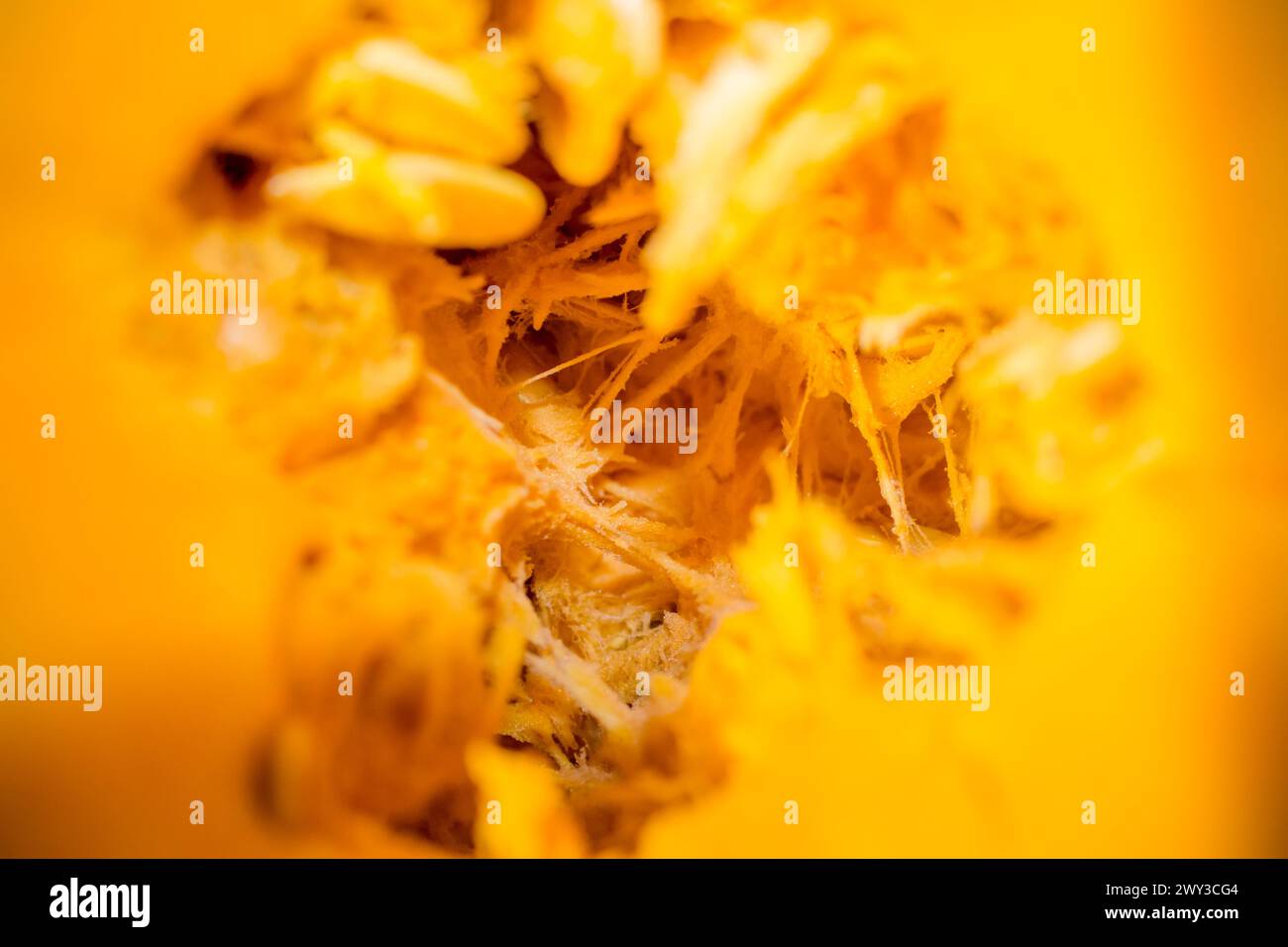 Bright yellow pumpkin from the inside Stock Photo - Alamy