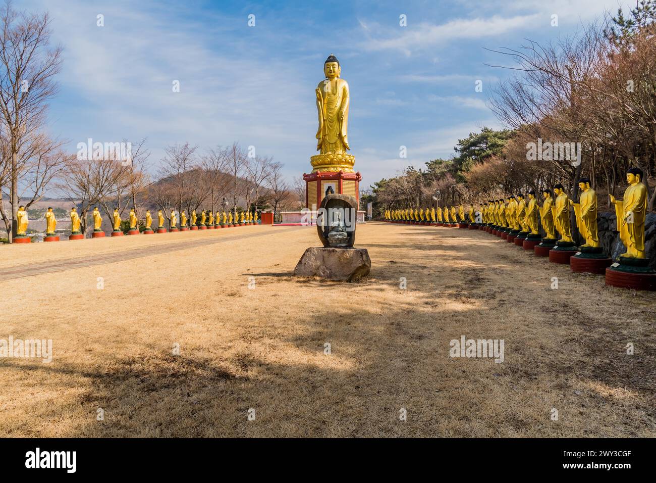 Large golden standing Buddha in field lined with standing Buddhas at ...