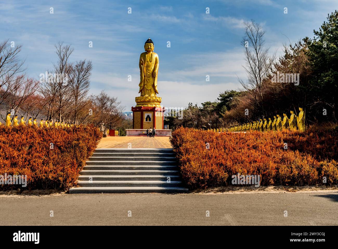 Large golden standing Buddha in field at Manbulsa Temple in Yeongcheon ...