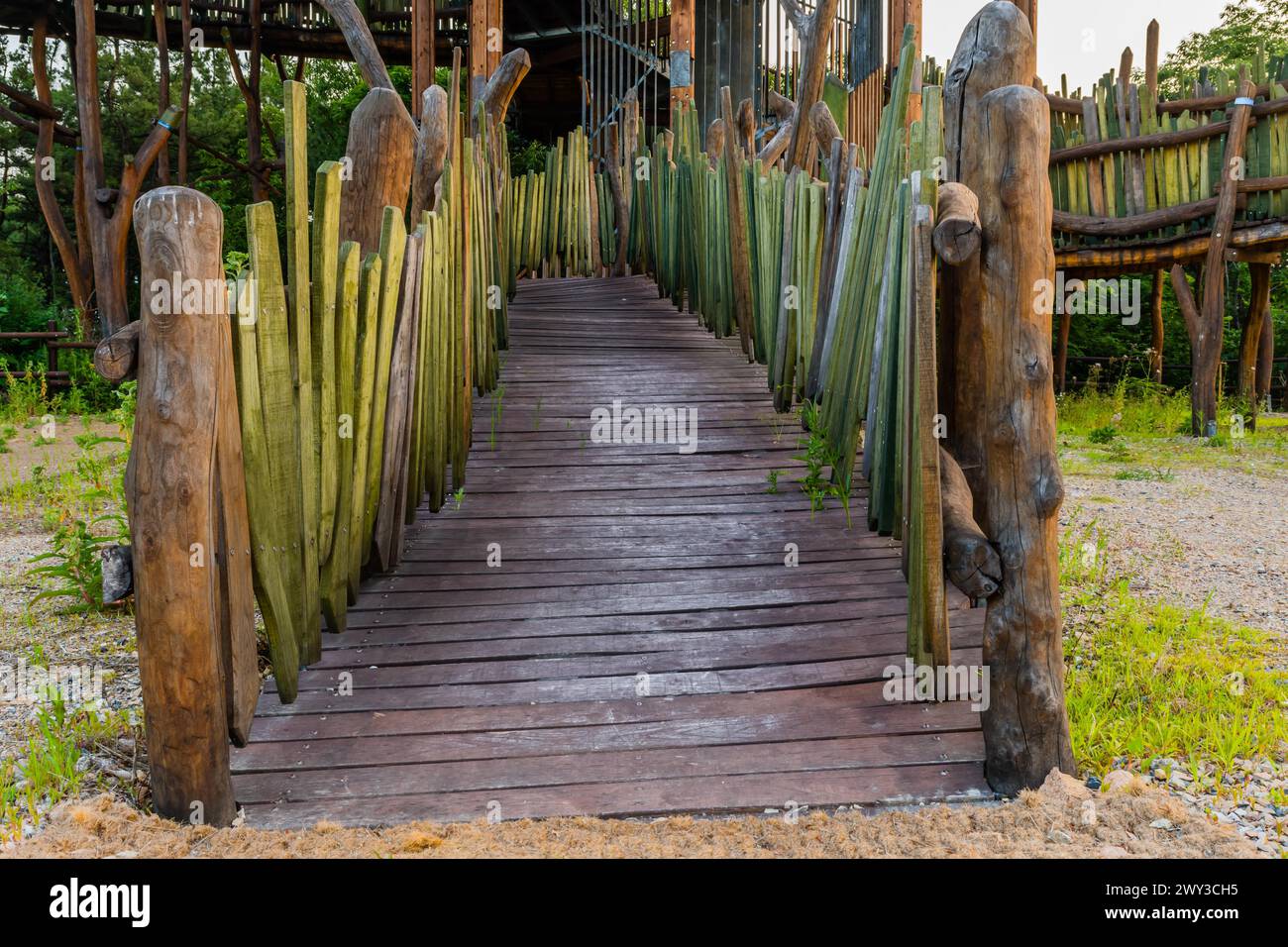 Wheel chair ramp entrance to wooden observation tower in public park in ...