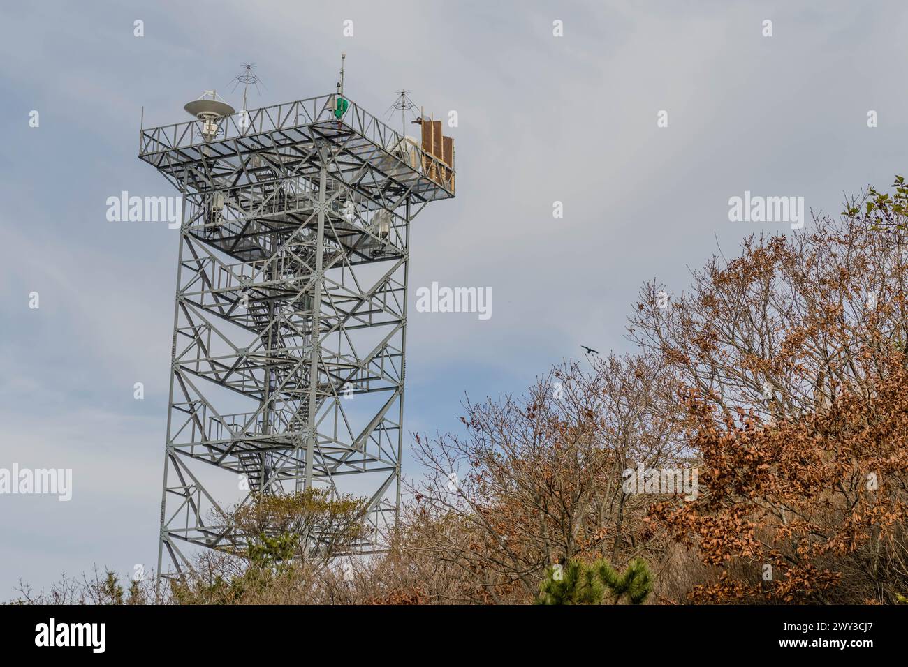 Steel observation tower reaching into the sky, surrounded by autumnal ...