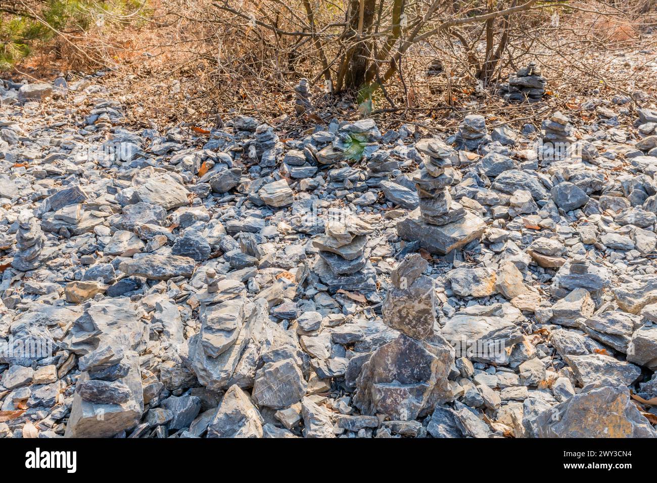 Area where people have made lots of little stacks of flat rocks with ...