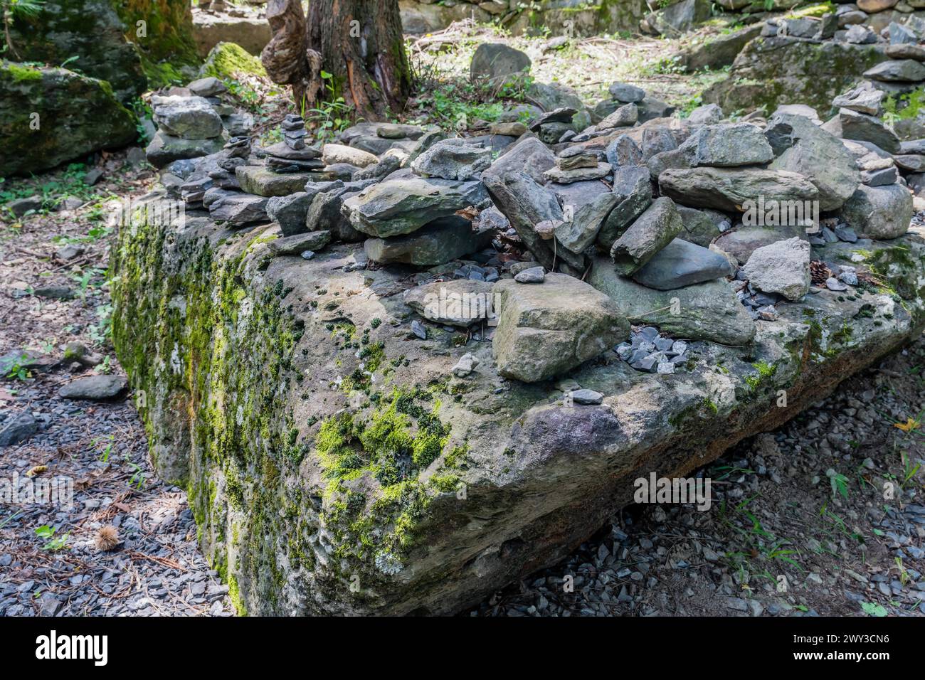Collection of pebble stacks on boulders in recreational forest park in ...
