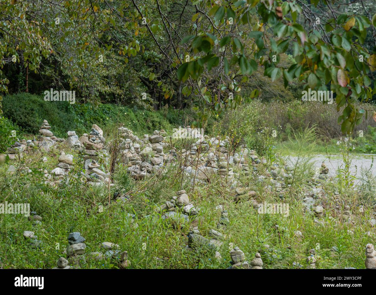 Garden of pebble stacks under tree branches in mountainside wilderness ...