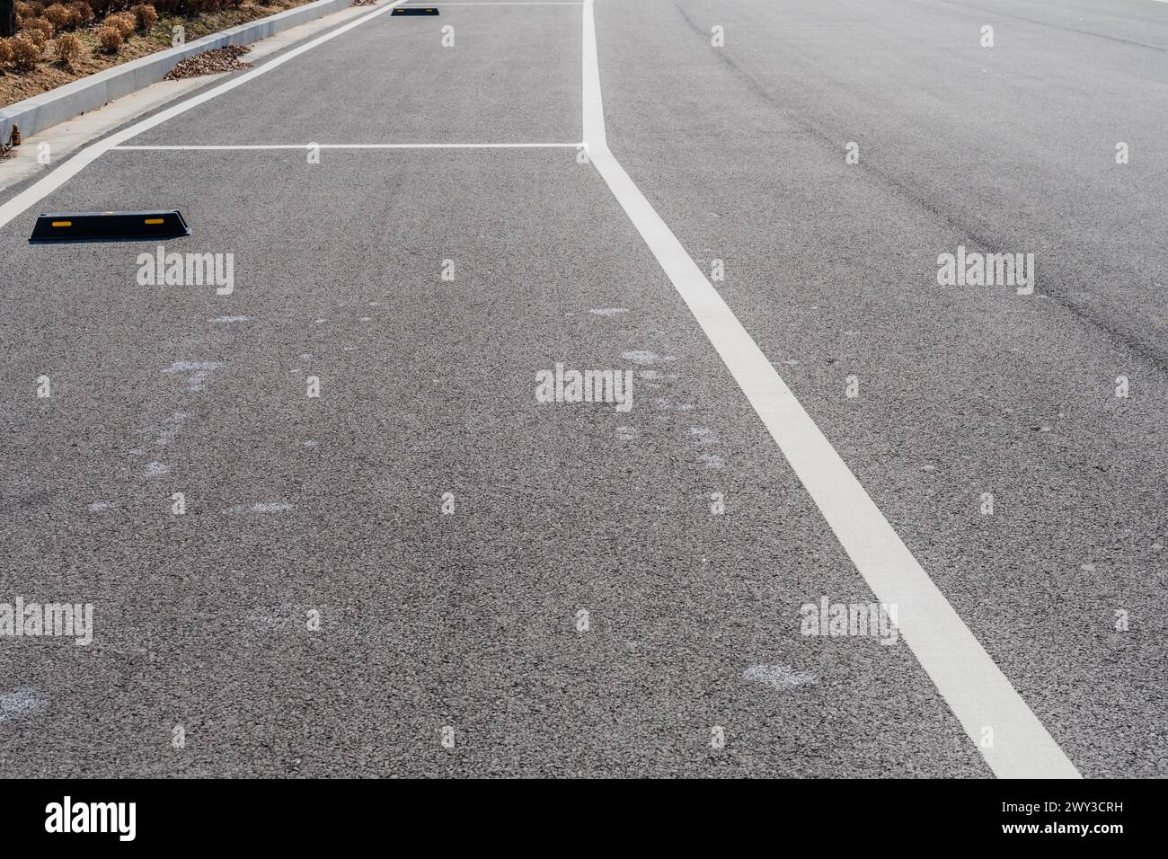 Empty parking spaces for tour buses marked with white lines in paring ...