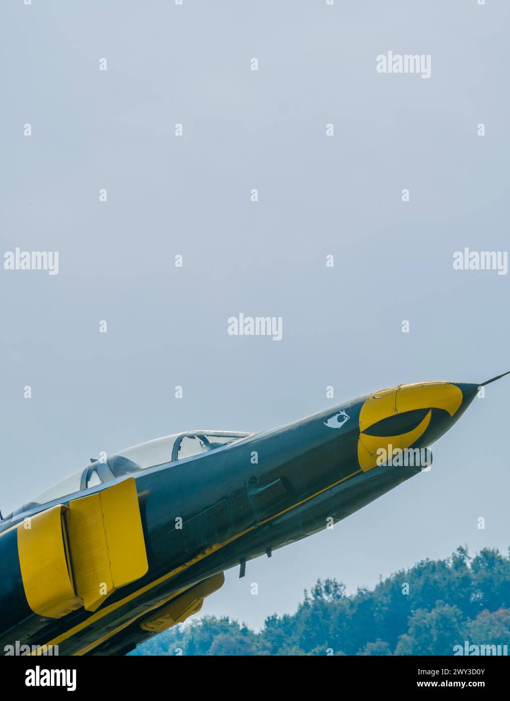 Cockpit and forward section of fuselage of military fighter jet pointed ...