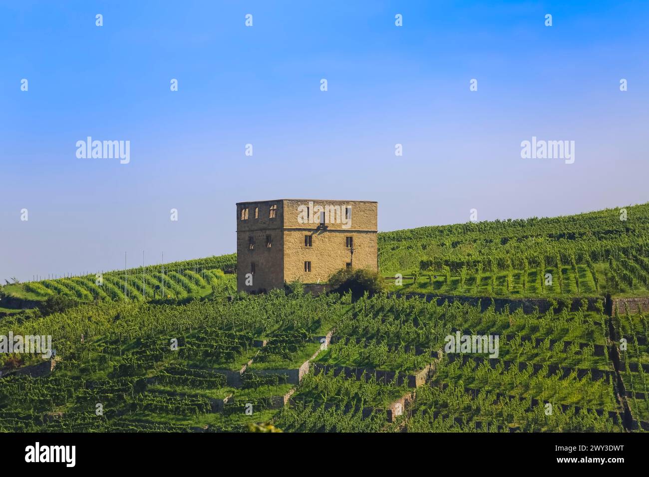 Yburg, Y-Burg, Yberg, Eibenburg, ruins of a hillside castle, historic ...
