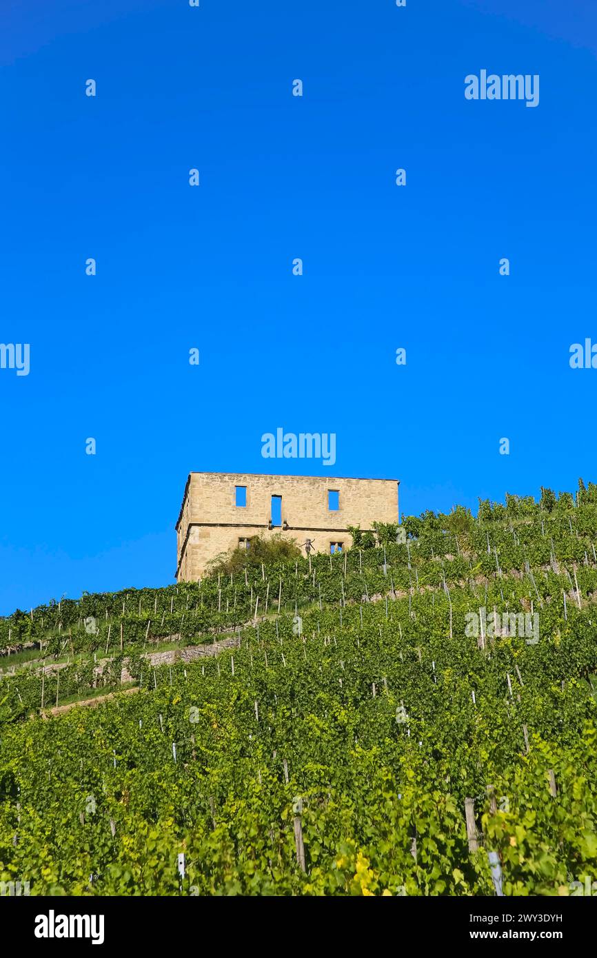 Yburg, Y-Burg, Yberg, Eibenburg, ruins of a hillside castle, historic ...