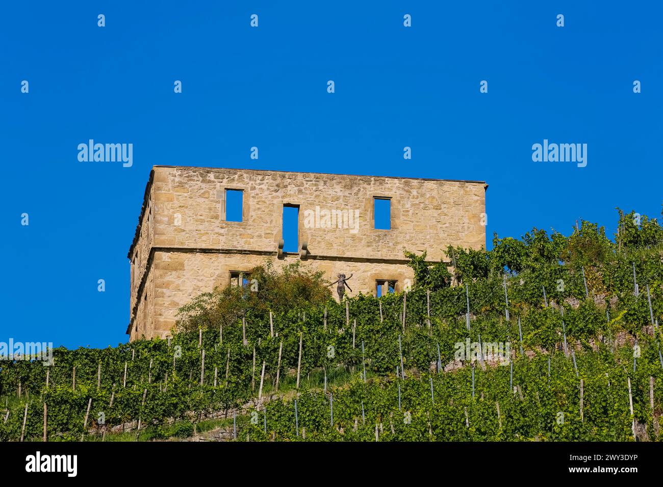 Yburg, Y-Burg, Yberg, Eibenburg, ruins of a hillside castle, historic ...