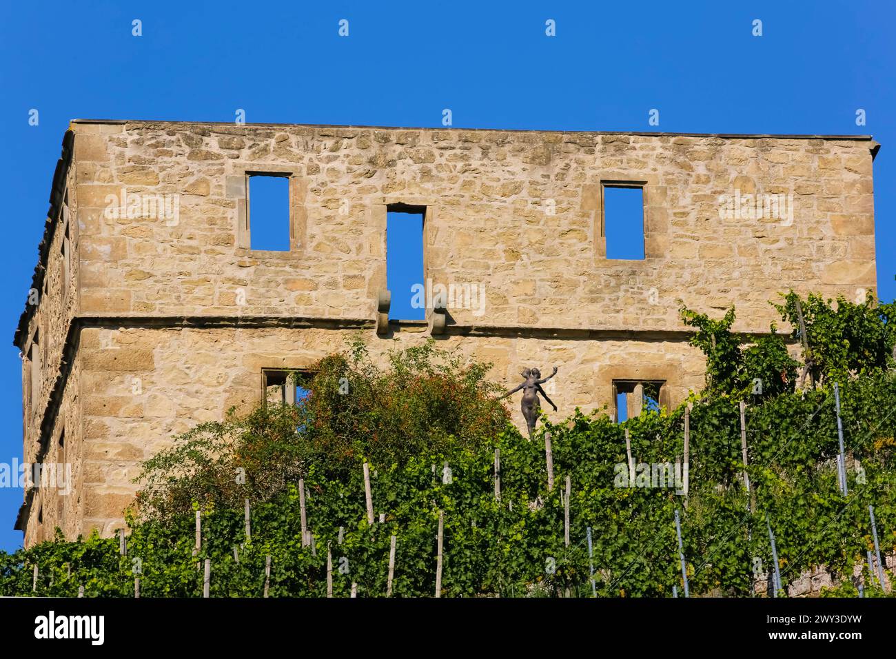 Yburg, Y-Burg, Yberg, Eibenburg, ruins of a hillside castle, historic ...