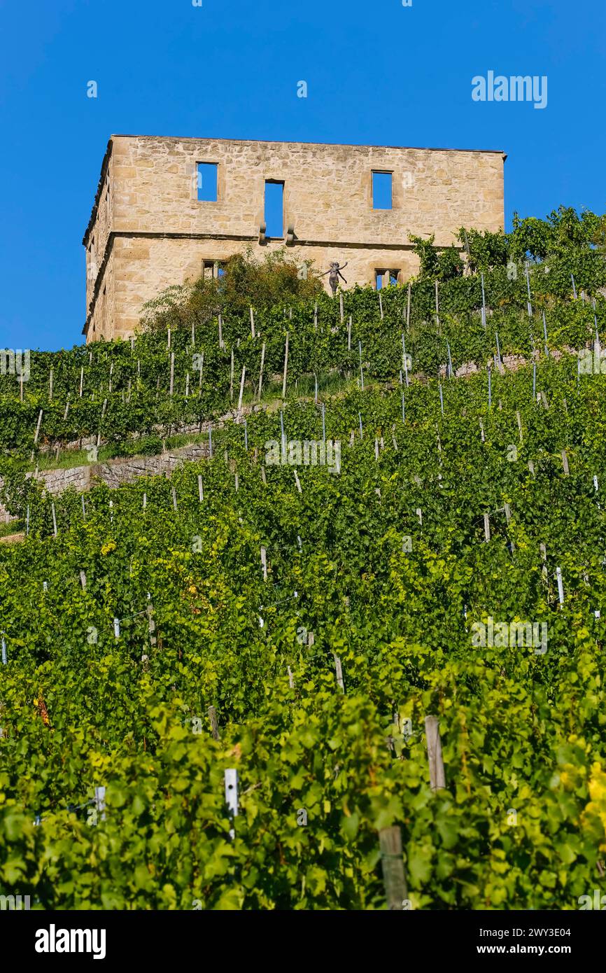 Yburg, Y-Burg, Yberg, Eibenburg, ruins of a hillside castle, historic ...