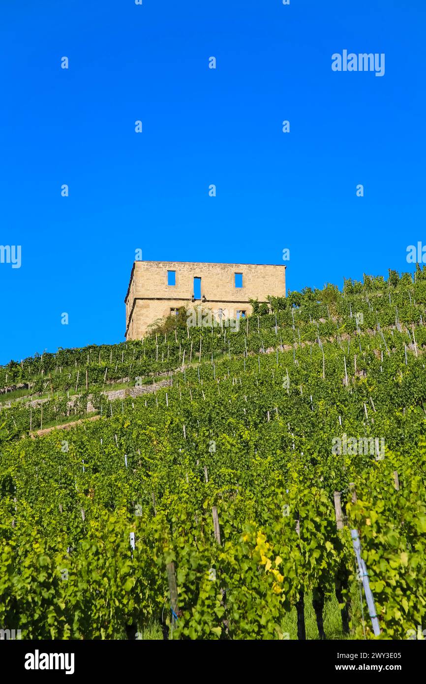 Yburg, Y-Burg, Yberg, Eibenburg, ruins of a hillside castle, historic ...