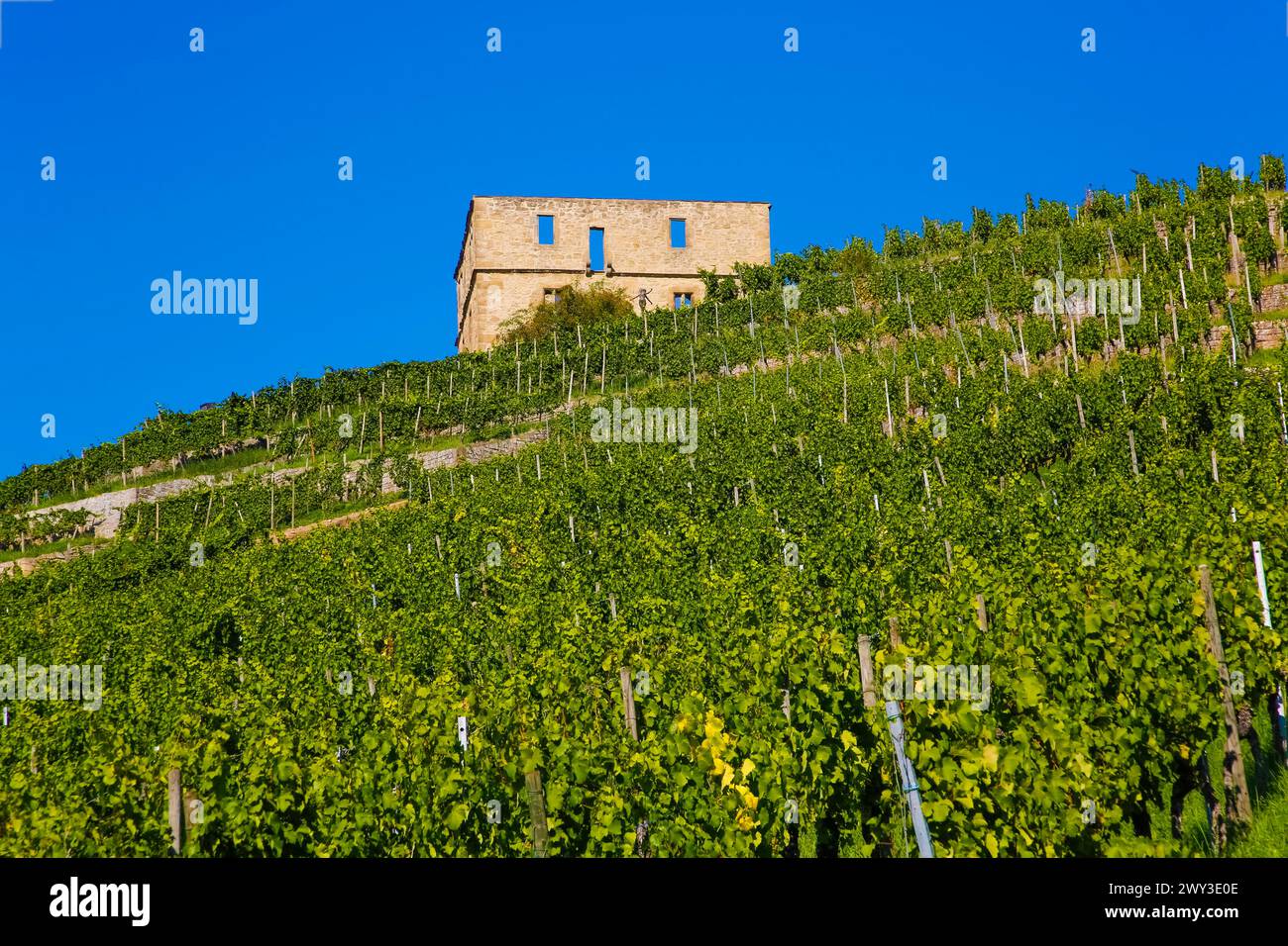 Yburg, Y-Burg, Yberg, Eibenburg, ruins of a hillside castle, historic ...