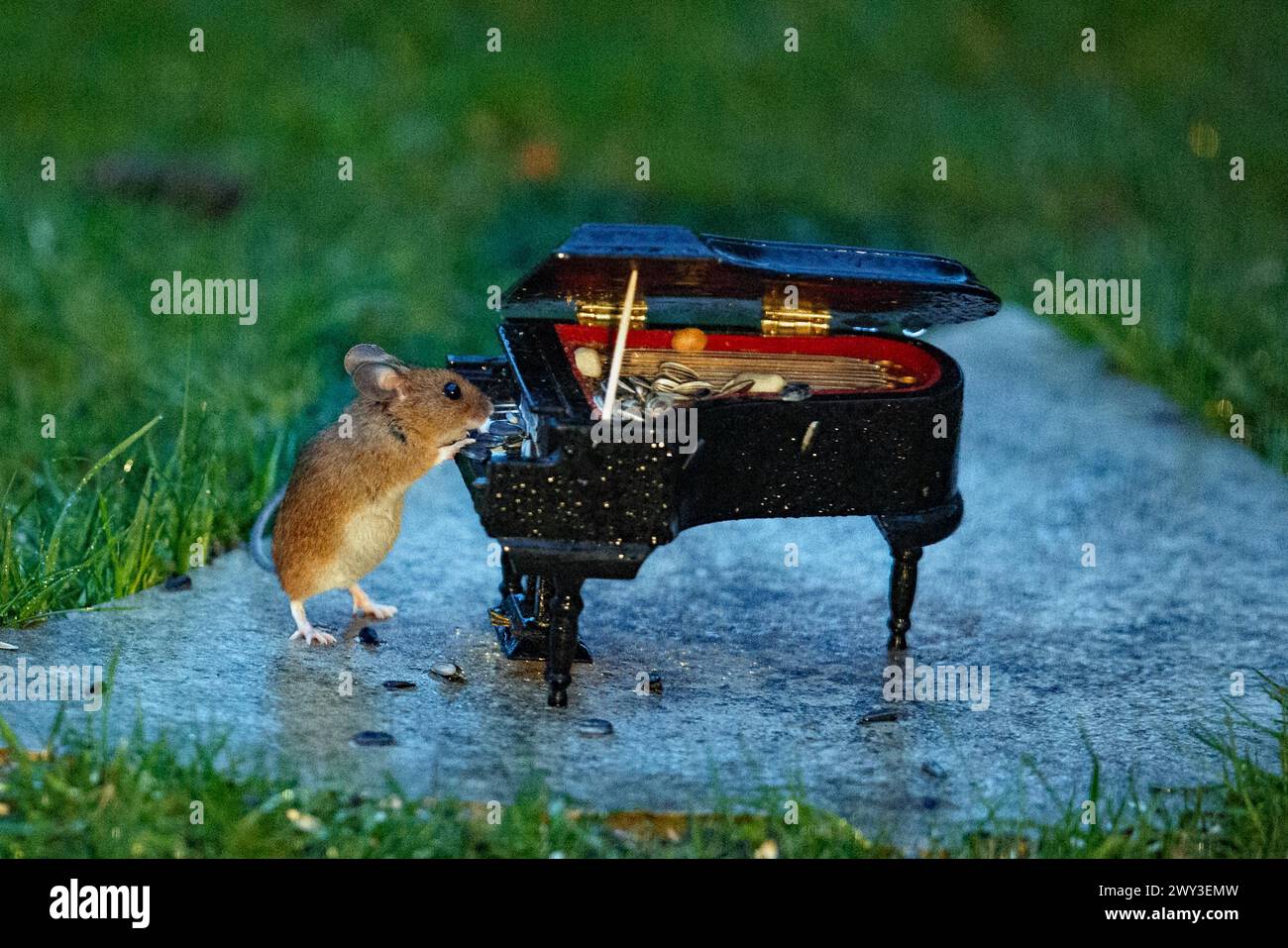 Standing stone slab hi-res stock photography and images - Alamy