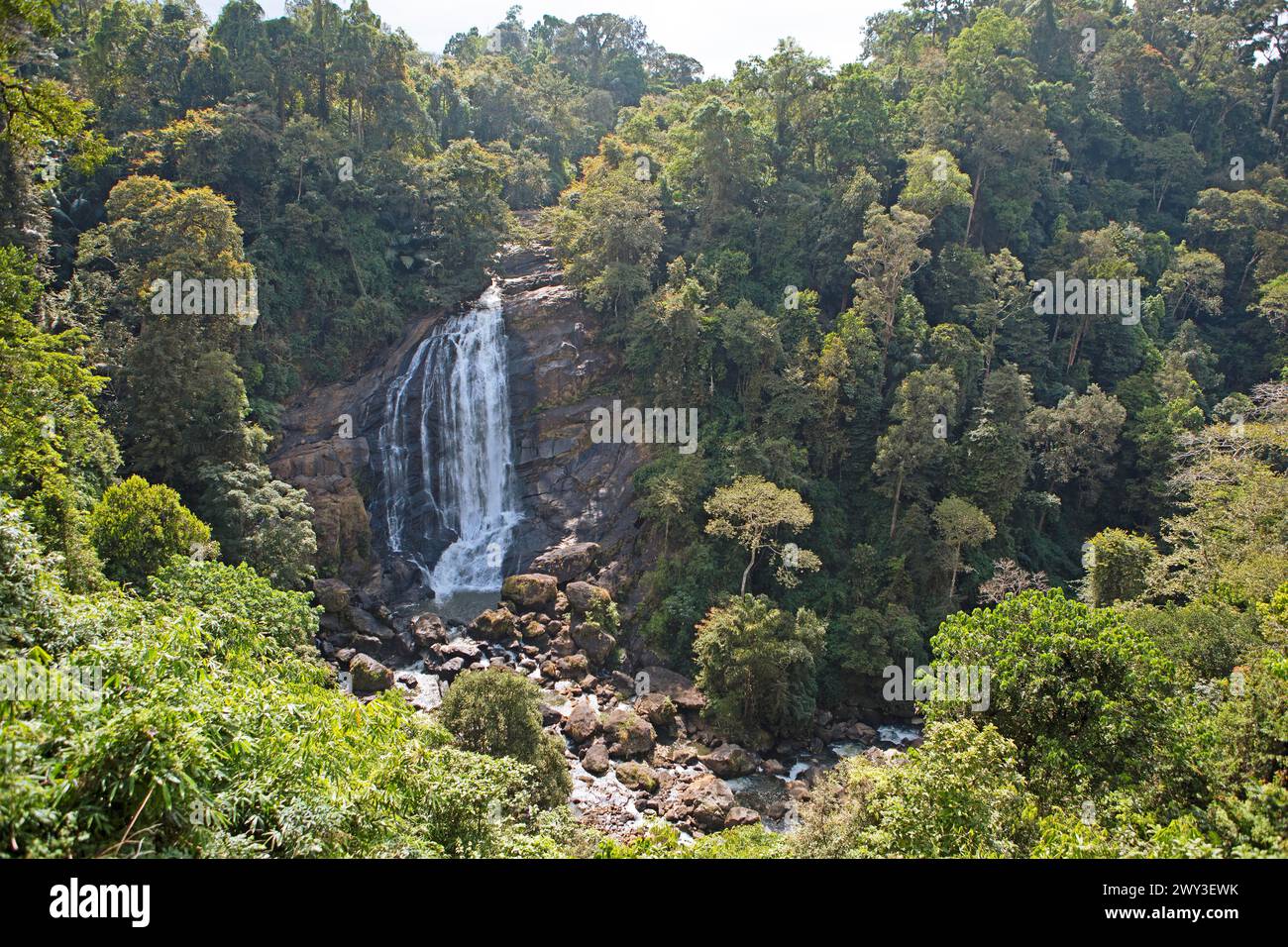 Valara Waterfall, Idukki District, Kerala, India Stock Photo - Alamy