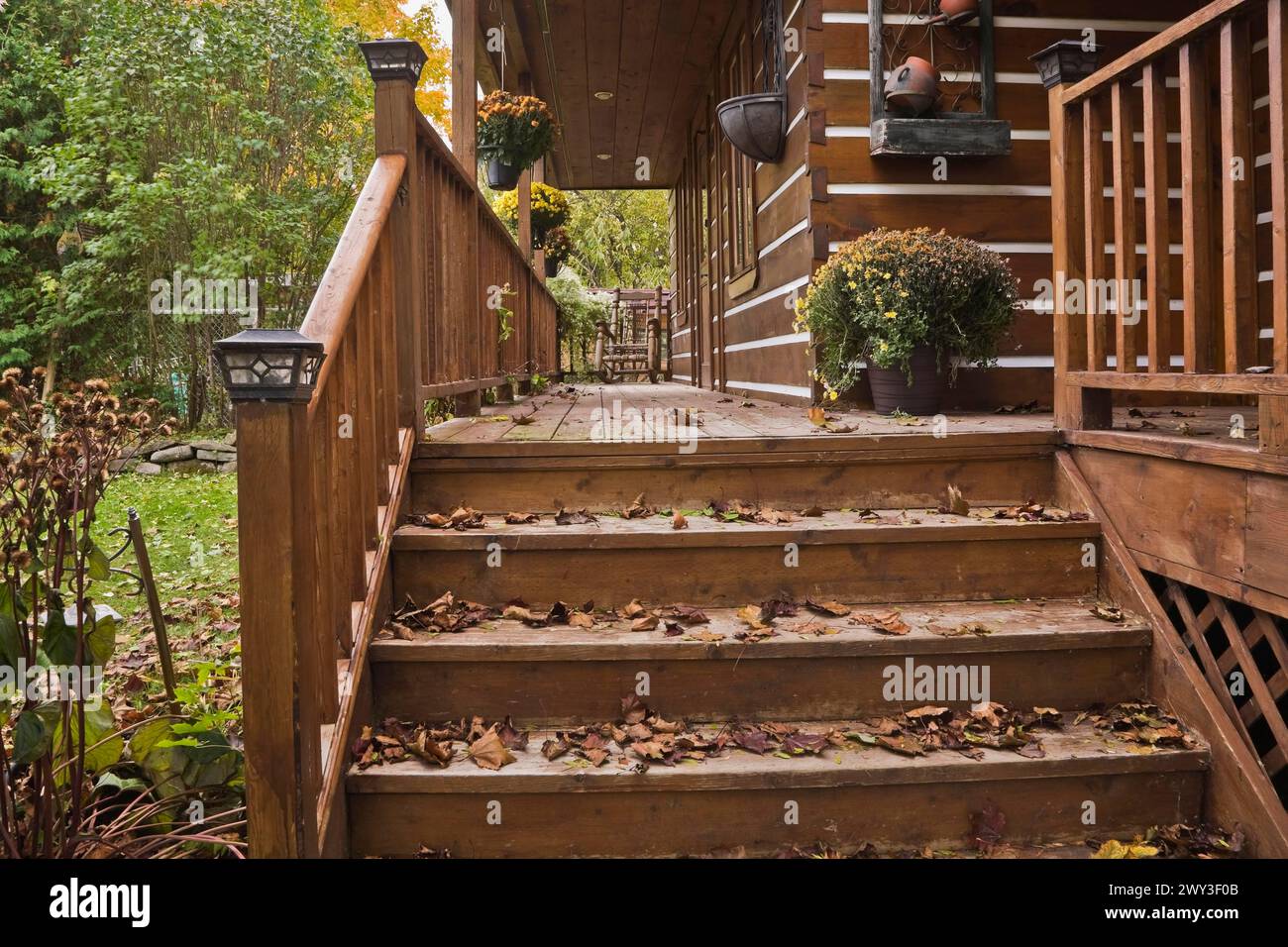 Old and worn brown stained wooden stairs and long veranda with pine ...
