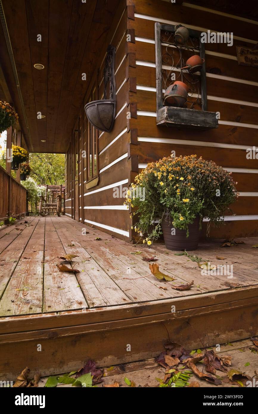 Long old and worn brown stained veranda with fallen tree leaves and ...