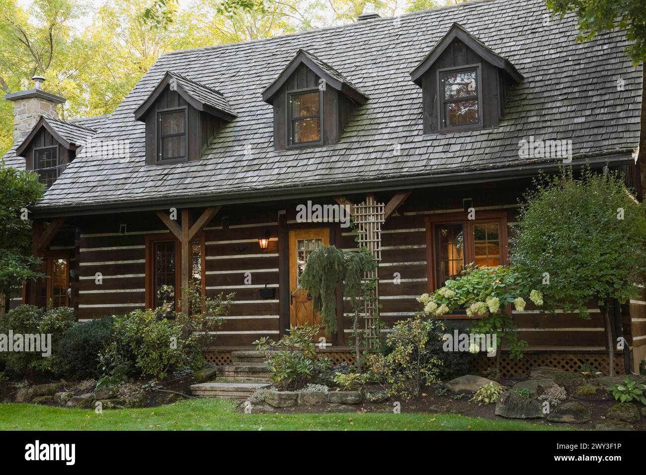 White chinked log cabin home facade with grey weathered cedar shingles ...
