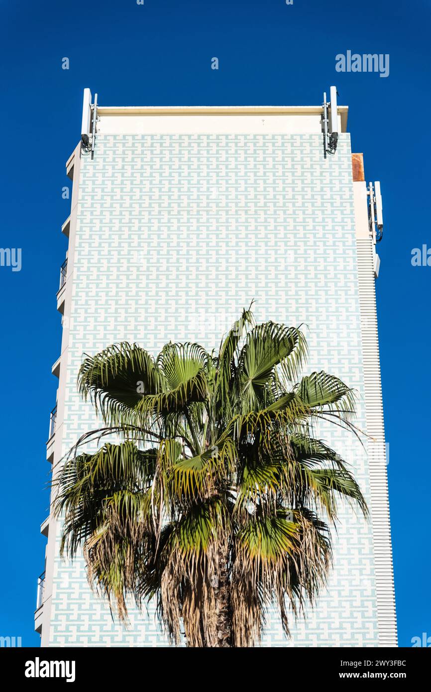 A palm tree in front of a high-rise facade in the Barceloneta ...