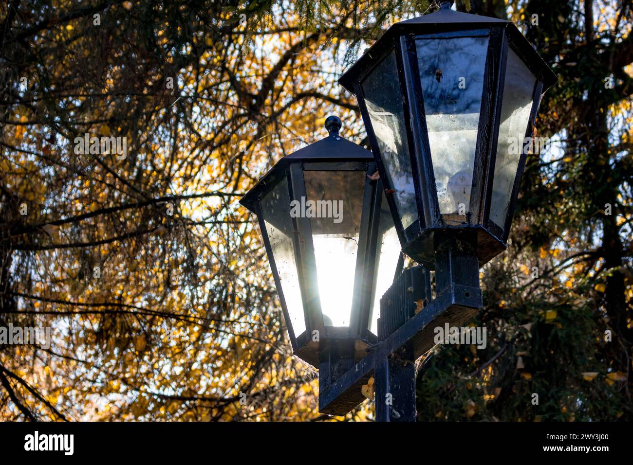 Sunlight shines through street light hi-res stock photography and ...