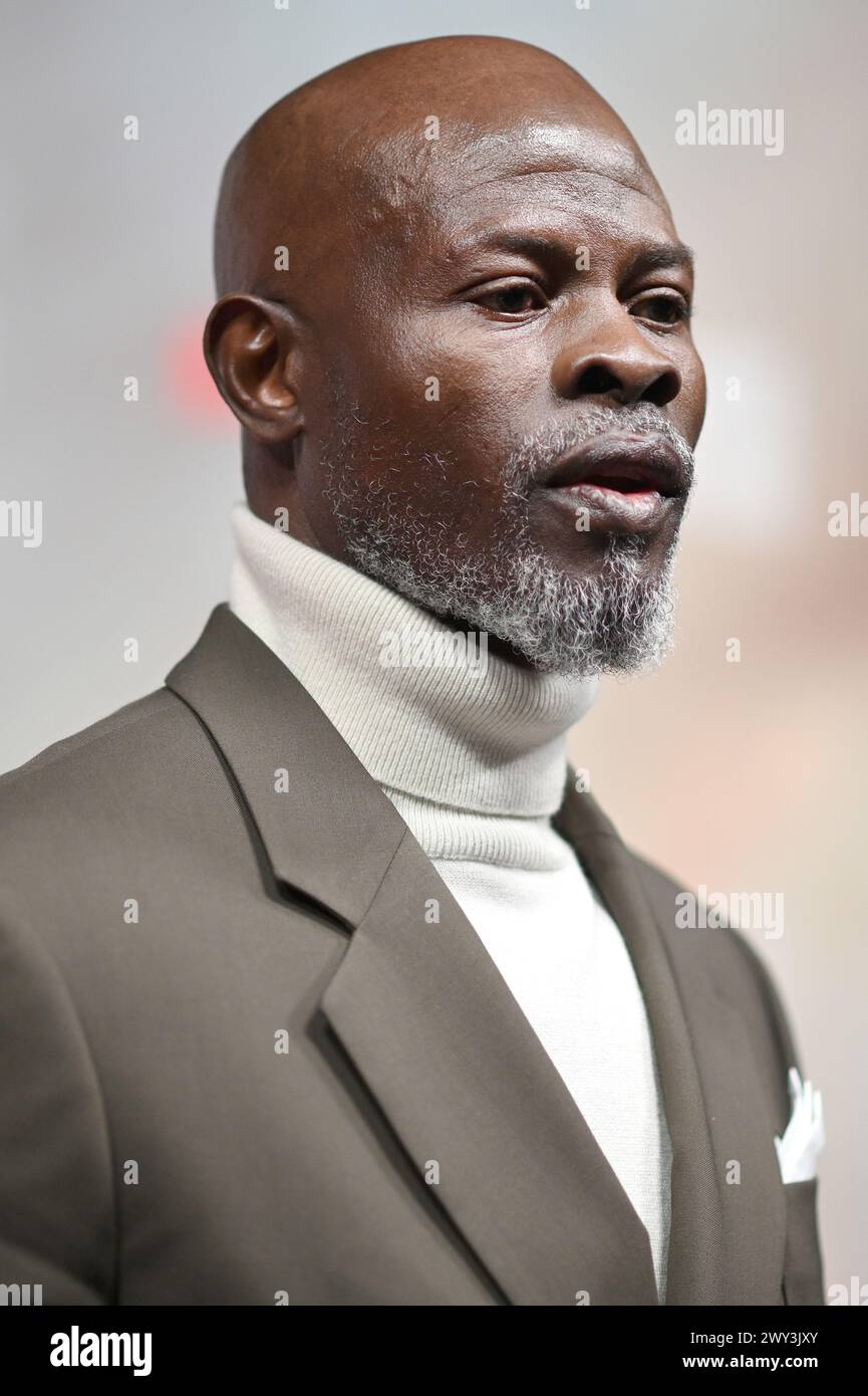New York, USA. 03rd Apr, 2024. Djimon Hounsou attends Netflix's 'Rebel ...