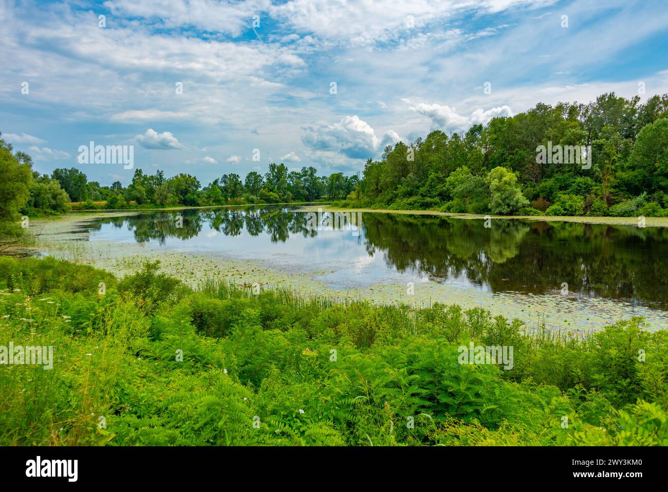 River Sava passing through Croatian countryside Stock Photo - Alamy