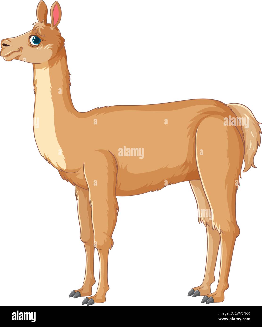 A stylized vector image of a single llama Stock Vector Image & Art - Alamy