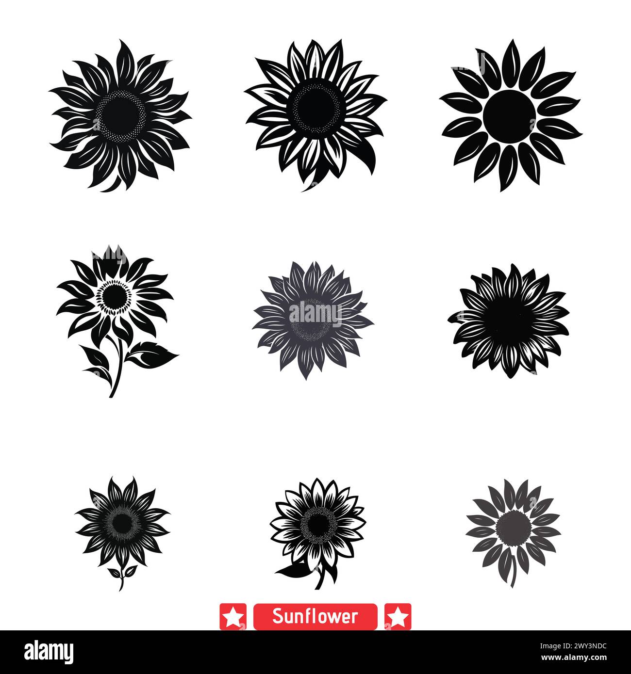 Sunflower premium Stock Vector Images - Alamy
