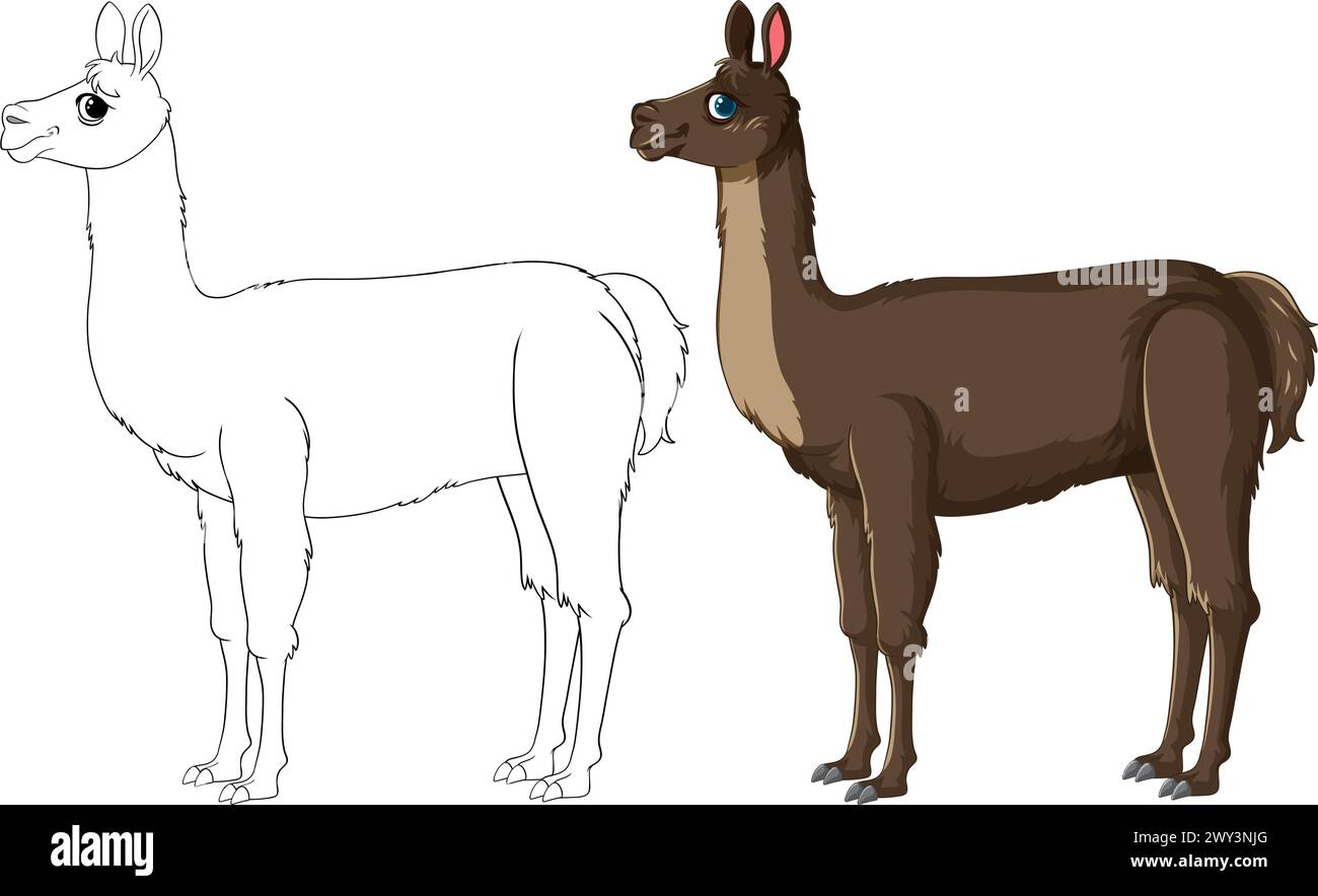 Llama side view Cut Out Stock Images & Pictures - Alamy