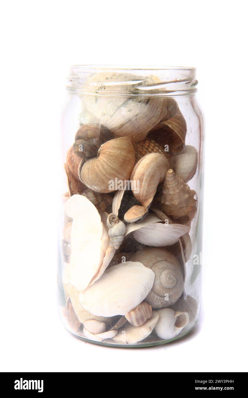 shells in the glass bottle isolated on the white background Stock Photo ...