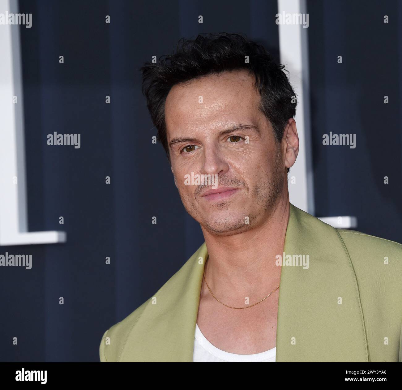 Hollywood, USA. 03rd Apr, 2024. Andrew Scott arriving at Netflix's ...
