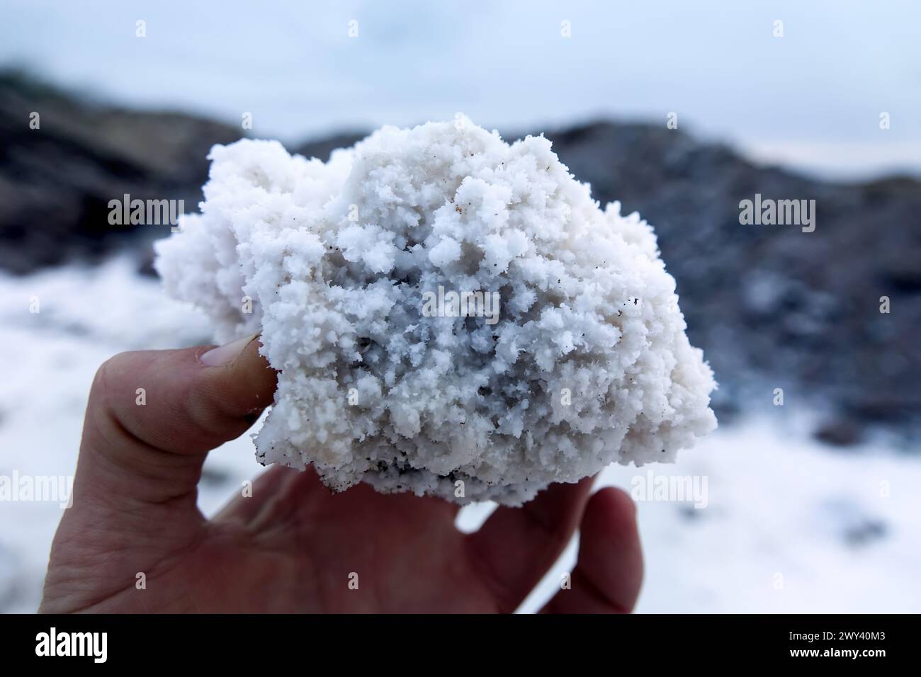 Geology and Geochemistry. Saline land, limestone evaporite, gypsum ...