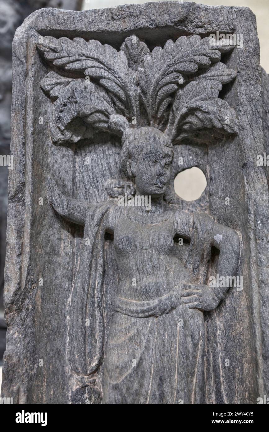 Yakshi, 2nd century, Museum and Art Gallery, Chandigarh, India Stock ...