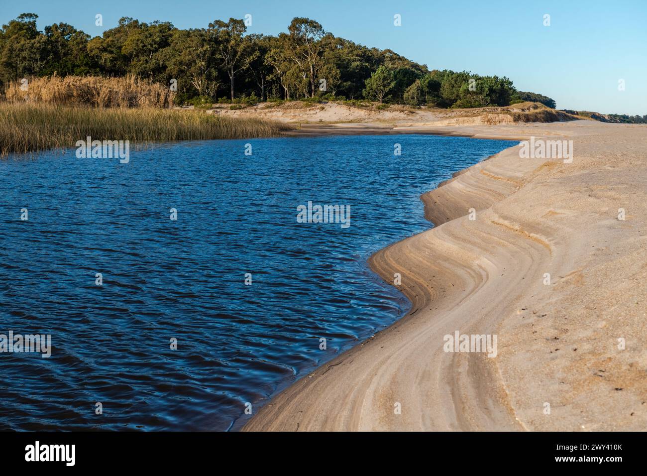 Body in swamp hi-res stock photography and images - Alamy