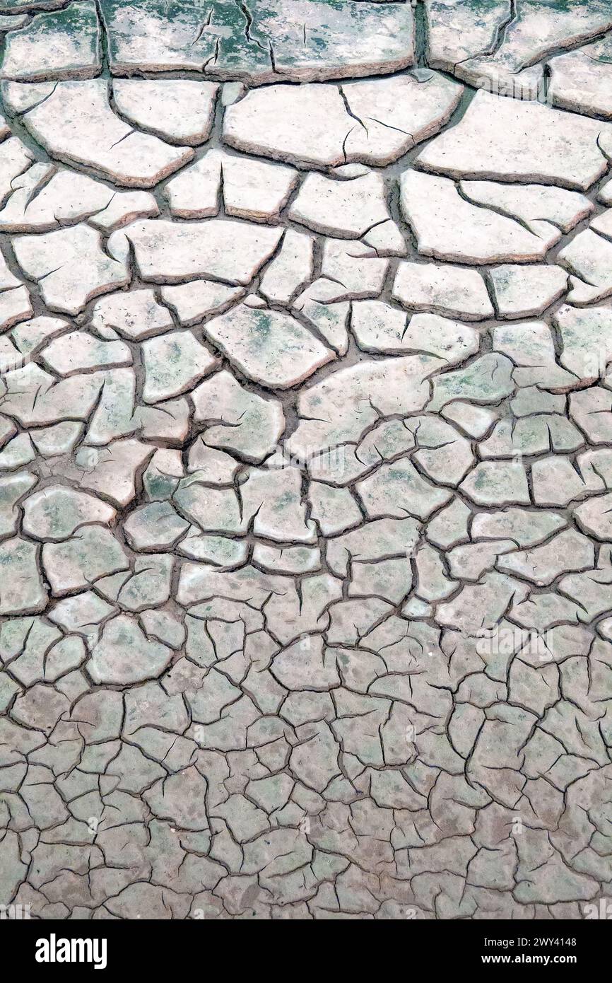 Rare pattern hi-res stock photography and images - Alamy