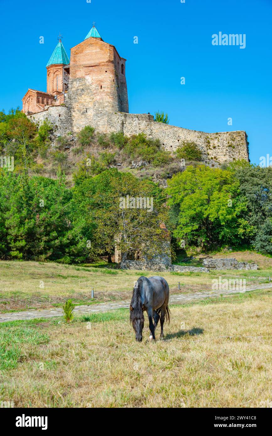 Gremi Church of Archangels and Royal Tower in Georgia Stock Photo - Alamy