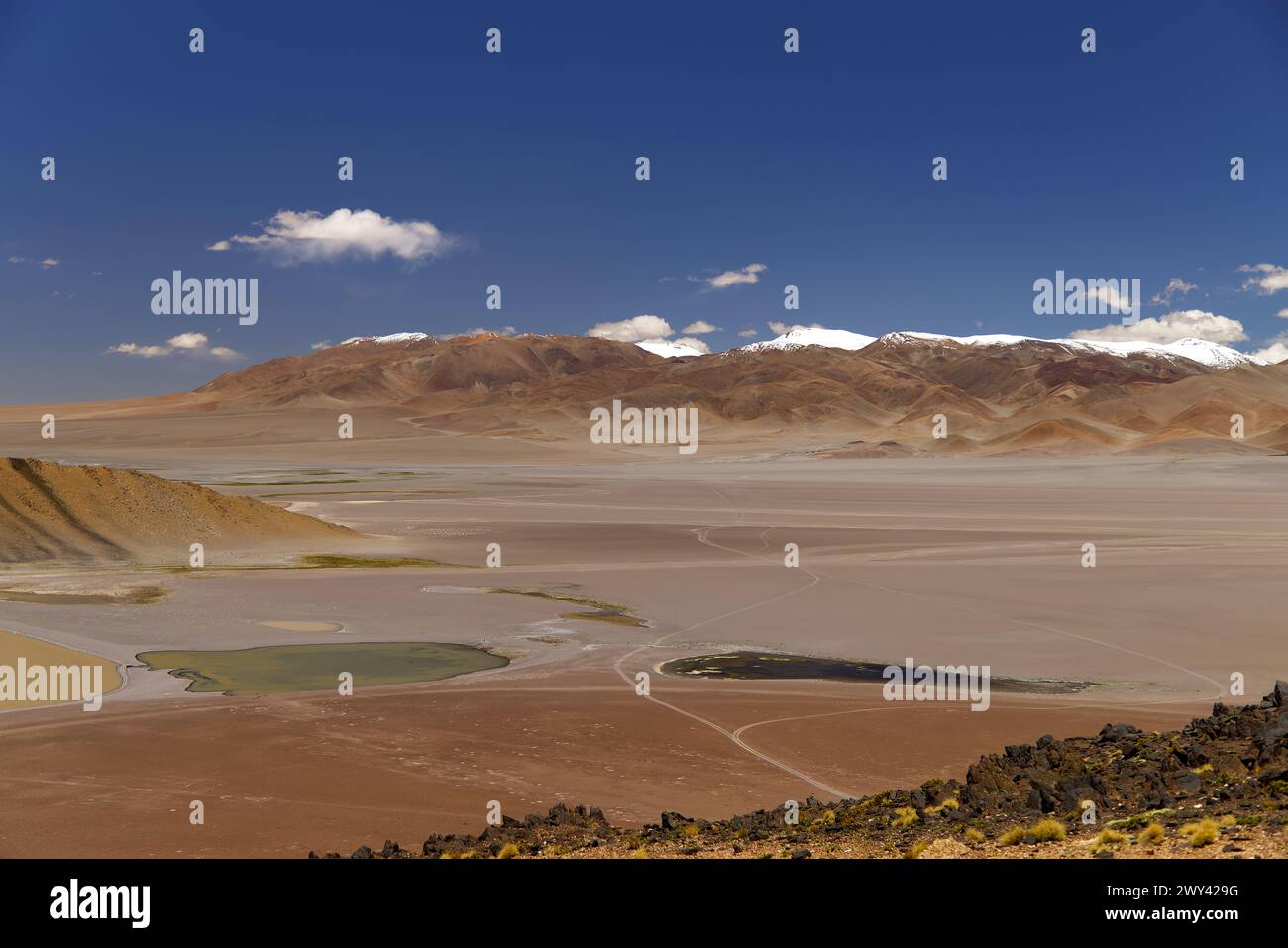 The splendid colors of the Puna Argentina landscape Stock Photo - Alamy