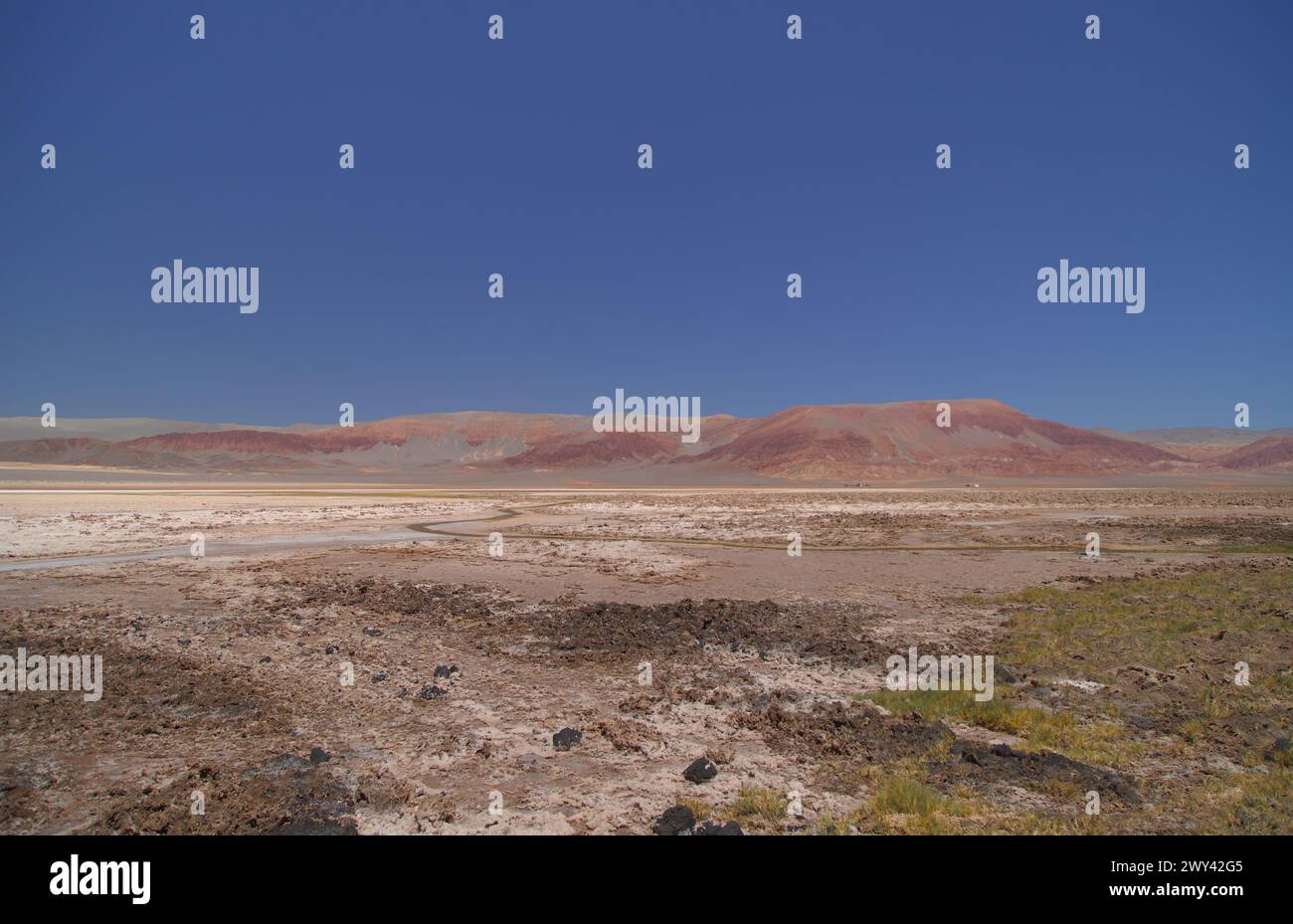 The splendid colors of the Puna Argentina landscape Stock Photo - Alamy