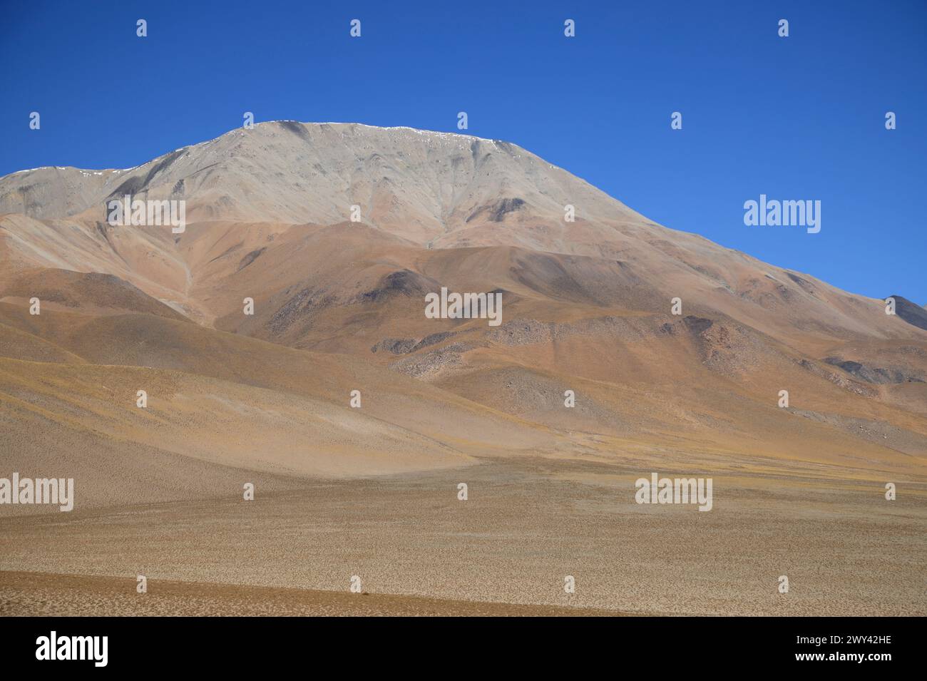 The splendid colors of the Puna Argentina landscape Stock Photo - Alamy