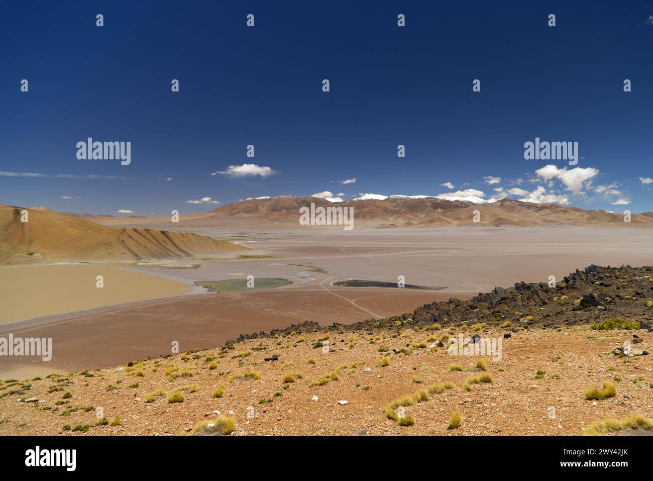 The splendid colors of the Puna Argentina landscape Stock Photo - Alamy