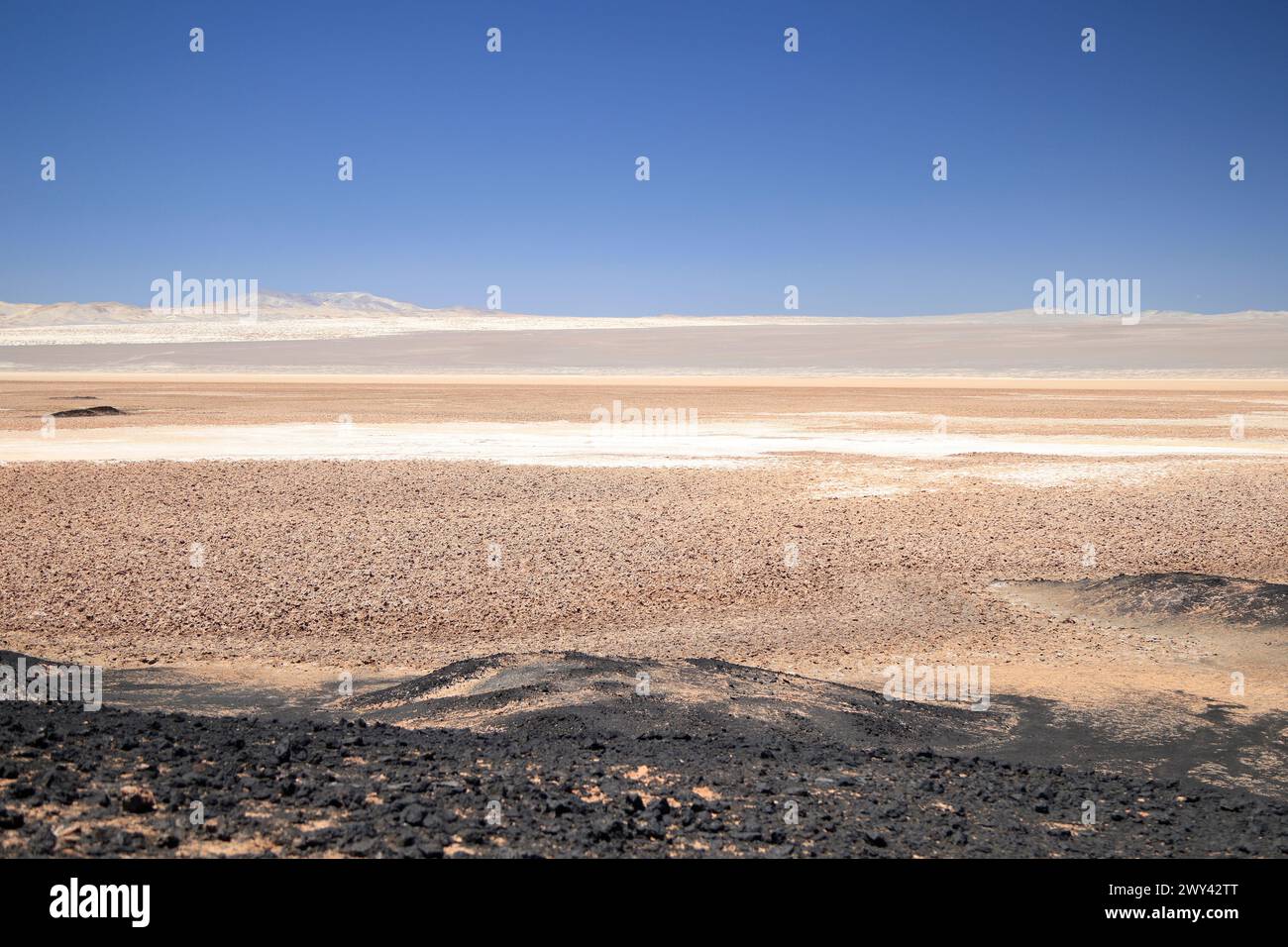 Puna grassland steppe hi-res stock photography and images - Alamy