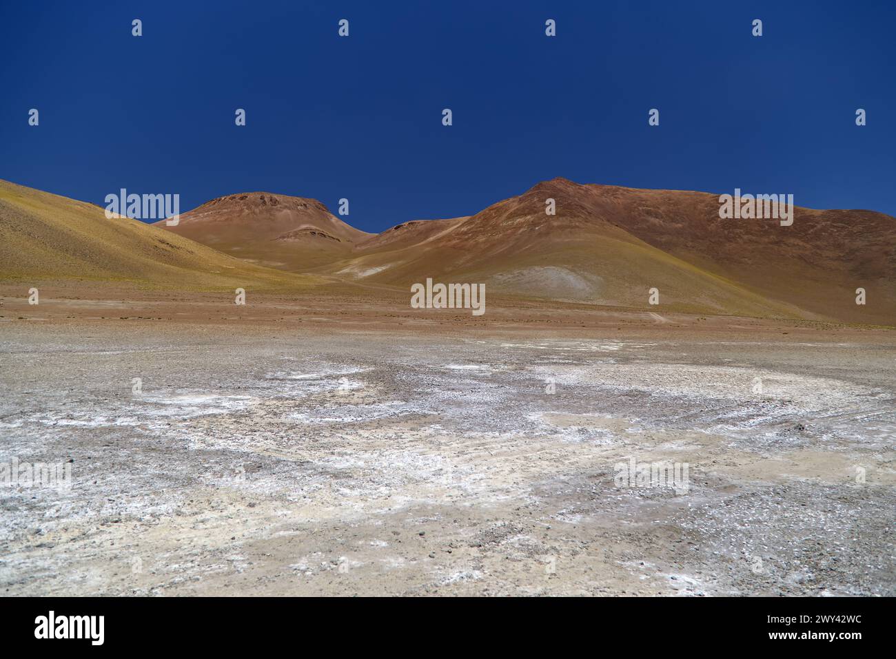 The splendid colors of the Puna Argentina landscape Stock Photo - Alamy