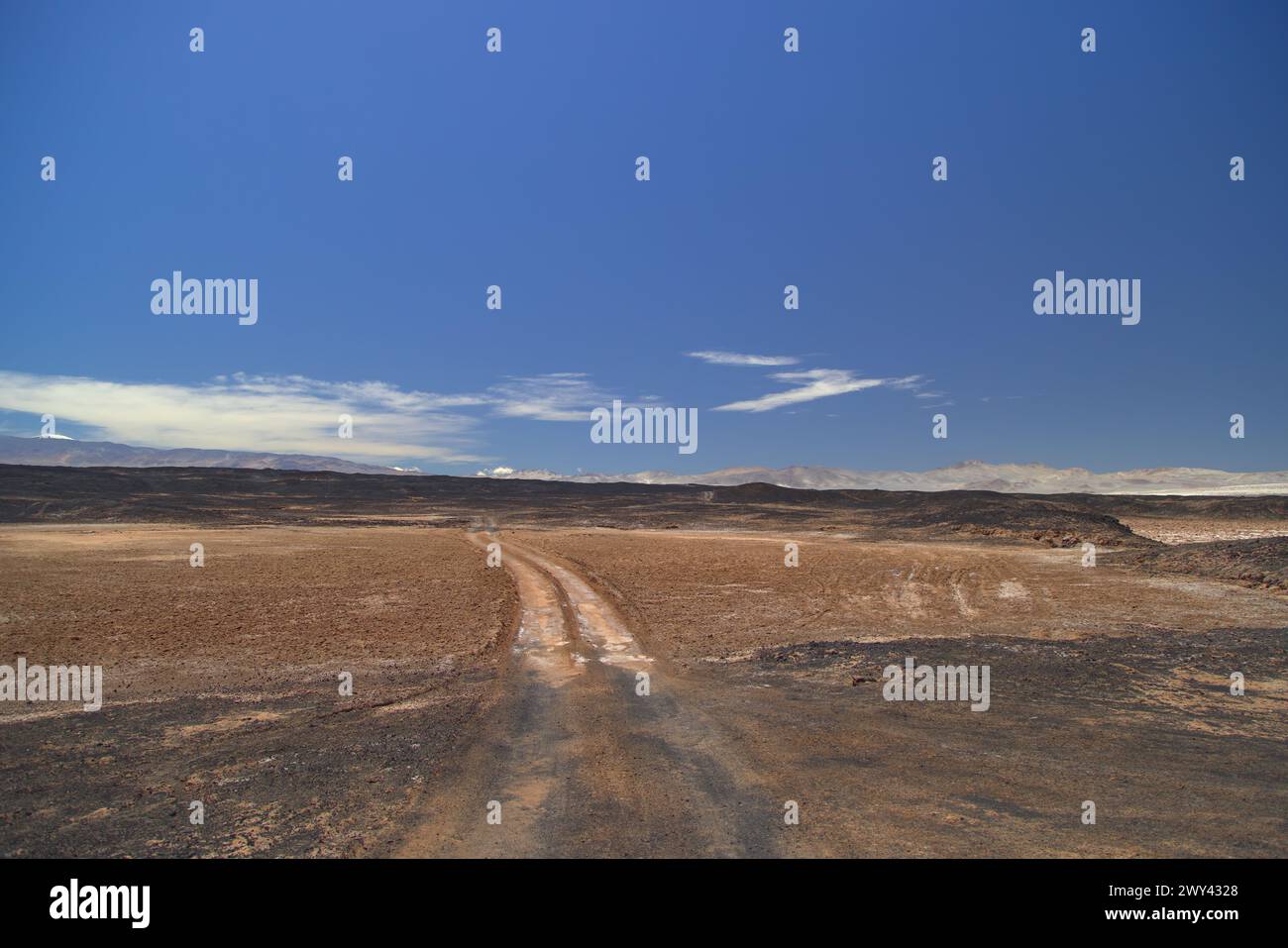 The splendid colors of the Puna Argentina landscape Stock Photo - Alamy