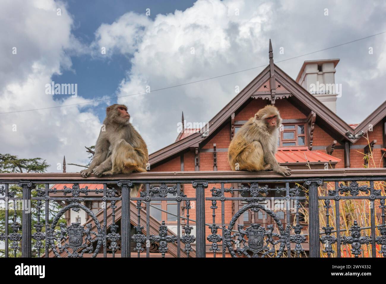 Bantony castle shimla hi-res stock photography and images - Alamy