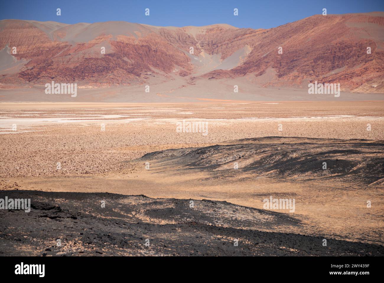 The splendid colors of the Puna Argentina landscape Stock Photo - Alamy