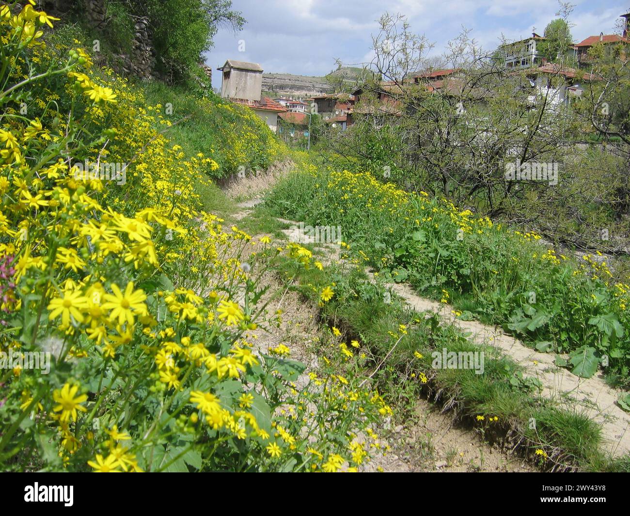 Nature and traditional Turkish house landscapes in summer from the old ...