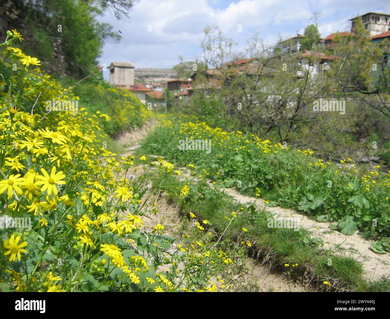 Nature and traditional Turkish house landscapes in summer from the old ...